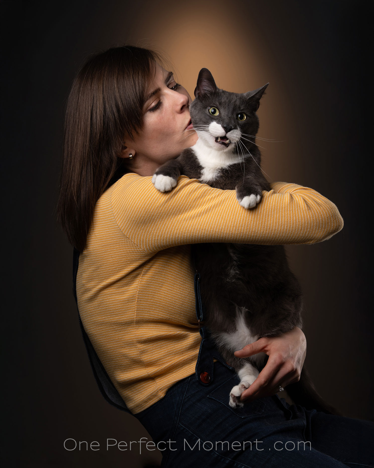 Studio lighting example for pet portraits - Tangents
